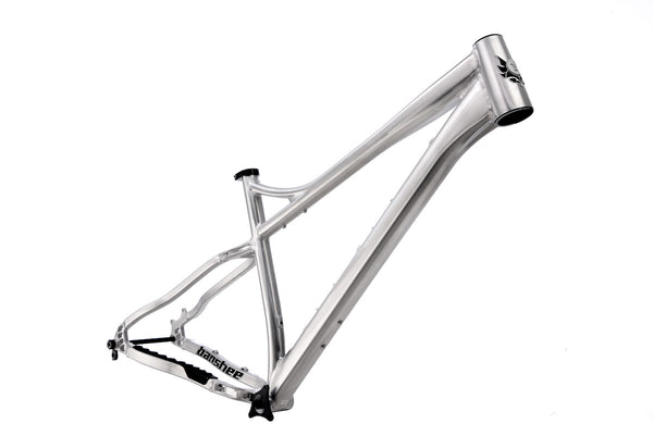 Banshee Anomaly Frameset, Raw, Headset Mountain Frame Mfg Size ...