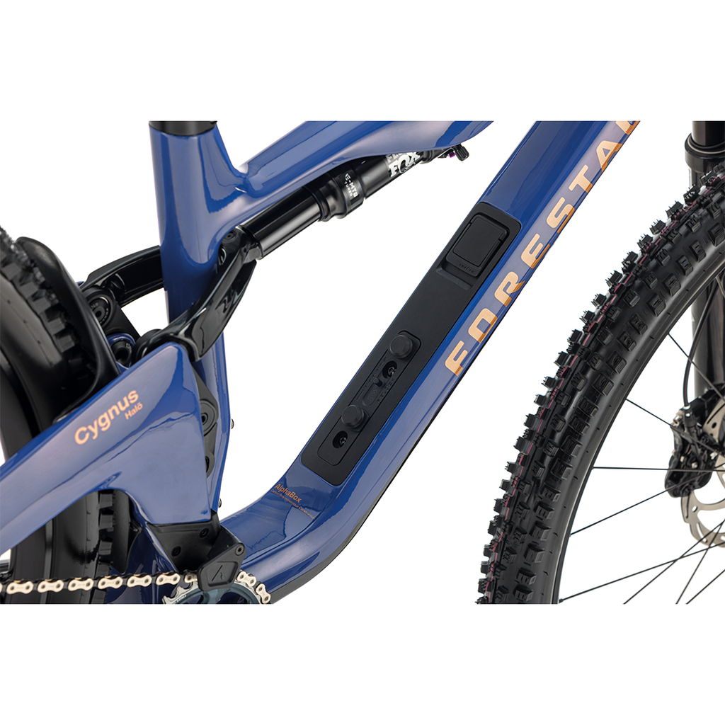 Forestal Cygnus Complete Bike w/ Halo Build, Blue / Black Mountain ...